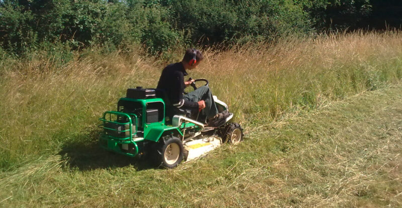 La tonte : un soin indispensable - Vive-Paysagistes.fr